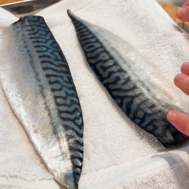 Shime Saba zushi - Doobydobap