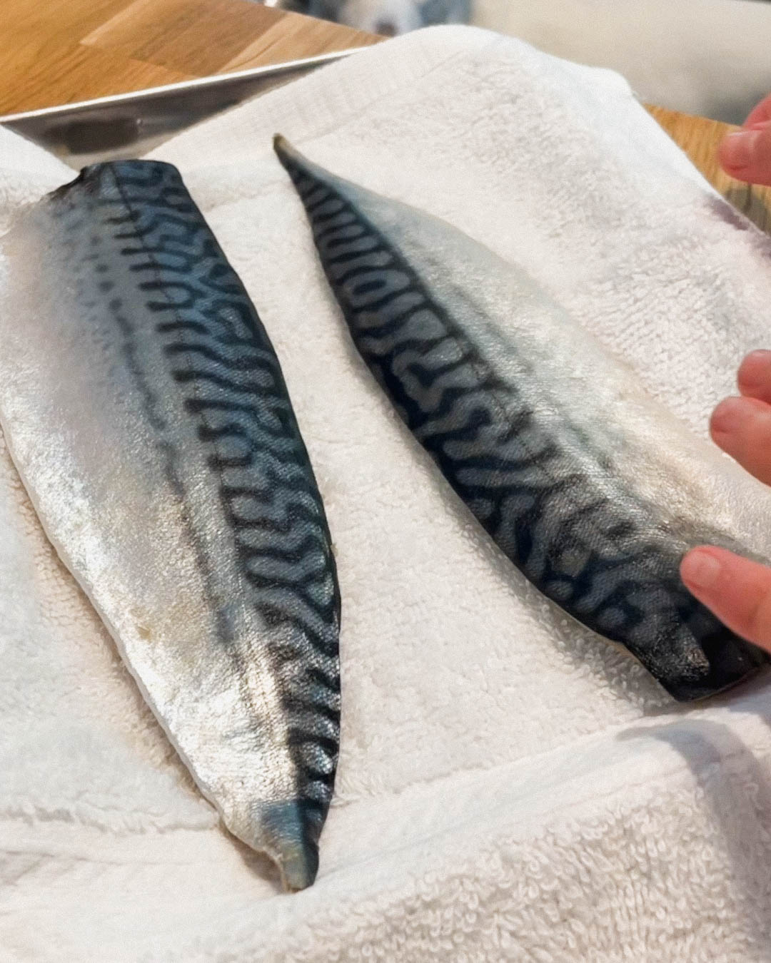 Shime Saba zushi - Doobydobap