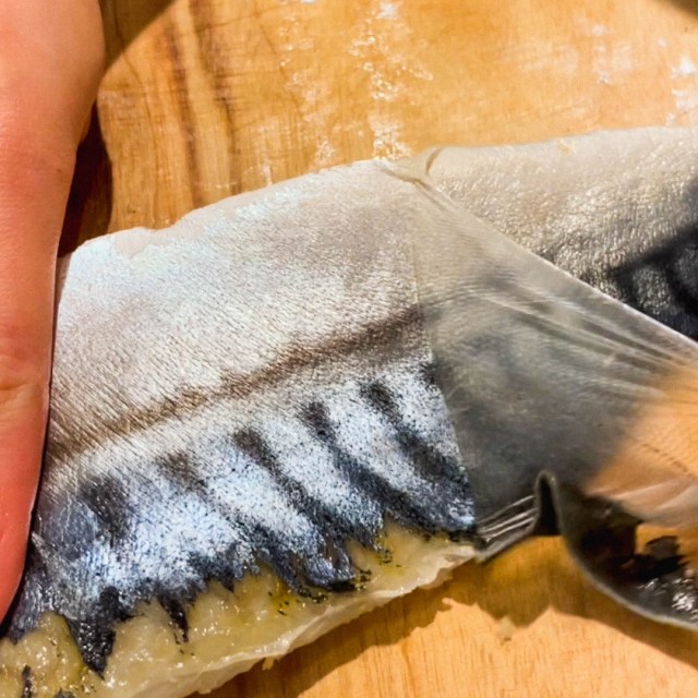 Shime Saba zushi - Doobydobap