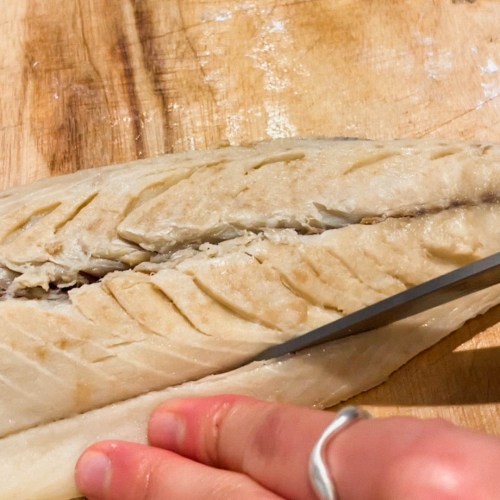 Shime Saba zushi - Doobydobap